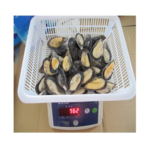 Fresh Frozen Mussel Meat Shellfish Detail Half Shell Mussel Frozen ...