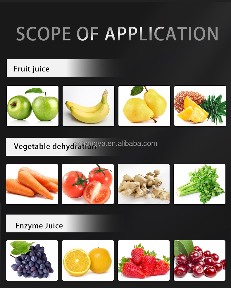 Large Scale Stainless Steel Multi-fruit Juice Extractor Machine, High ...