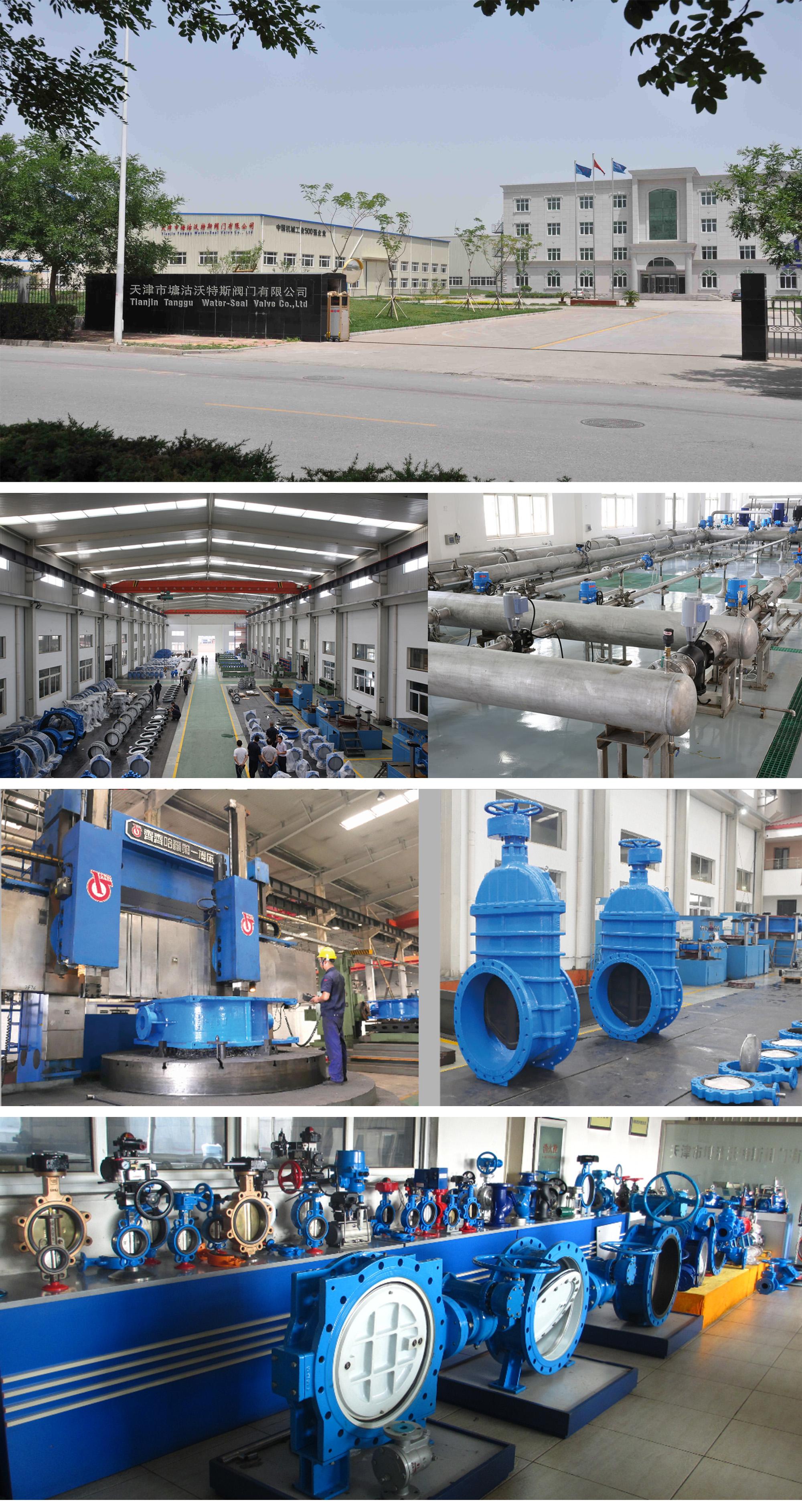 Dn300 Resilient Seated Pipe Gate Valve For Water Works, High Quality ...