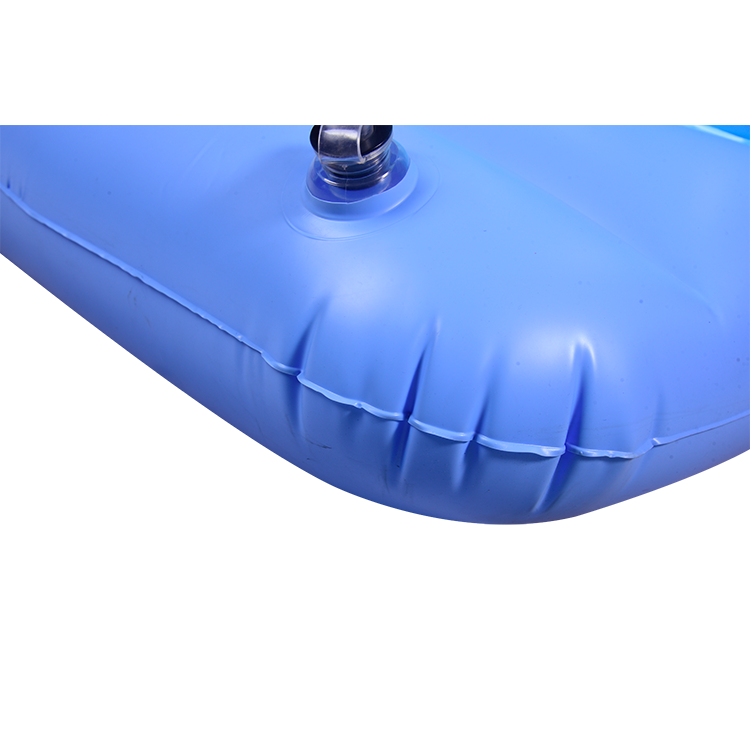 Dolphin Inflatable Floating Bed For Adults Or Children, High Quality ...