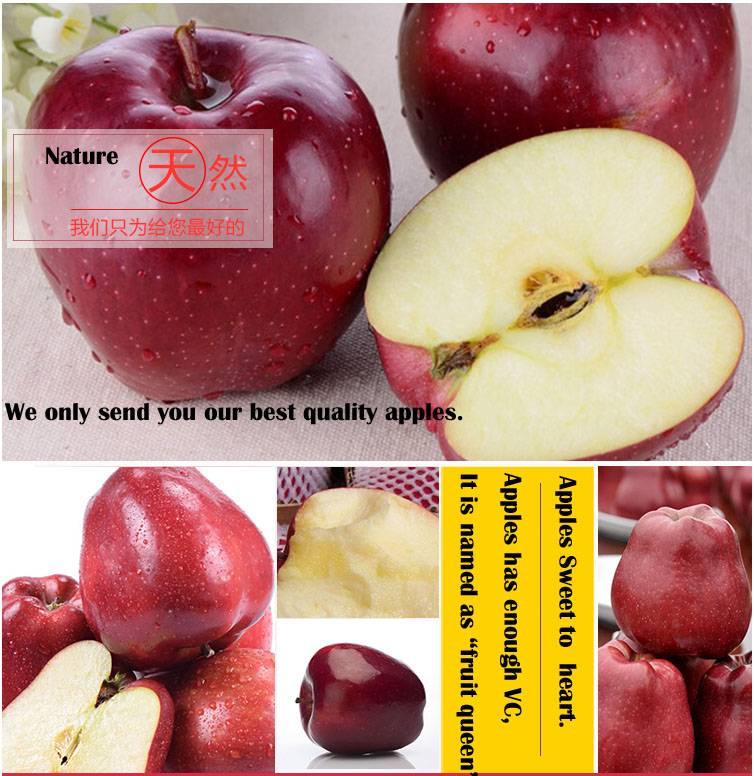 Fuji Apples Price Chinese Fuji Apples Red Fuji, High Quality Fuji ...