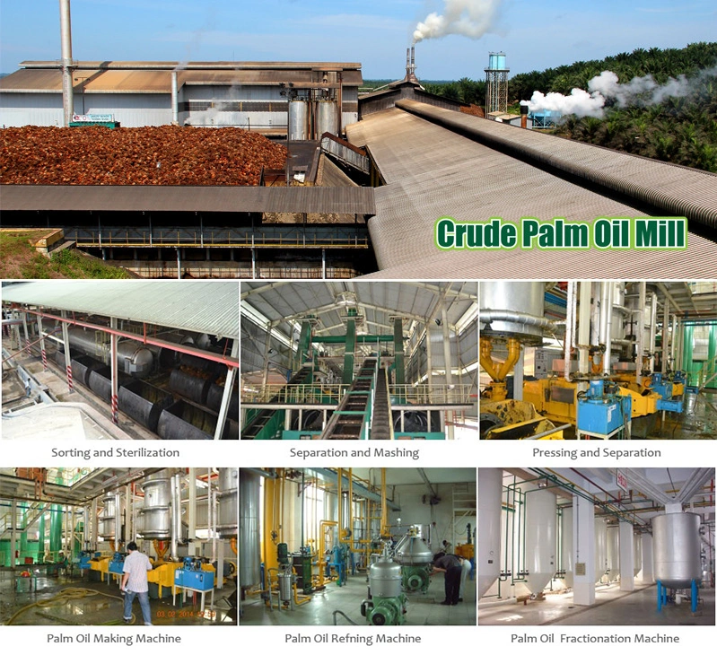 Crude Palm Oil Refinery/refined Bleached Deodorized Palm Oil Equipment ...