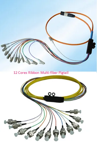 12 Cores Ribbon Multi-fiber Pigtail, High Quality 12 Cores Ribbon Multi ...