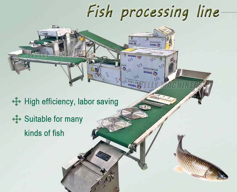 Wholesale Yellowtail And Whiting Fillets Processing Equipment In ...