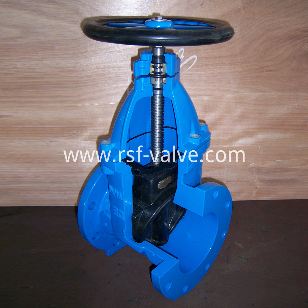 AWWA C509 Resilient Seat Gate Valve China Manufacturer