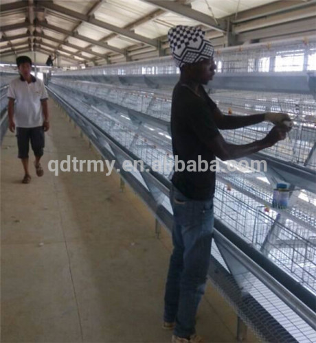 Qingdao A Frame Automatic Chicken Use Egg Layer Chicken Cage, High ...