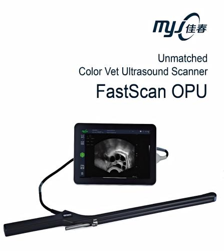 R11 6.5mhz Convex Array Probe Veterinary Ultrasound Equipment, High ...