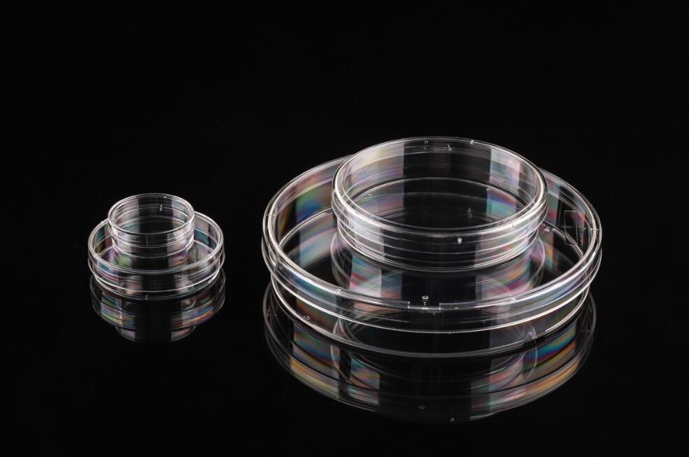 NEST Cell Culture Dish China Manufacturer