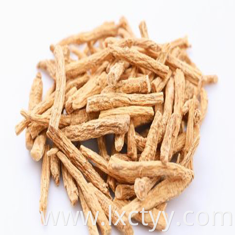 codonopsis pilosula root tea China Manufacturers Suppliers Factory Exporter
