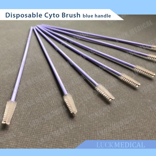 Brush Cyto Brush คุณภาพสูง Brush Cyto Brush บน bossgoo.com