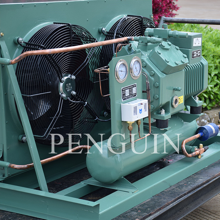 6hp Condensing Machine Compressor Supplier: Condenser Hermetic ...
