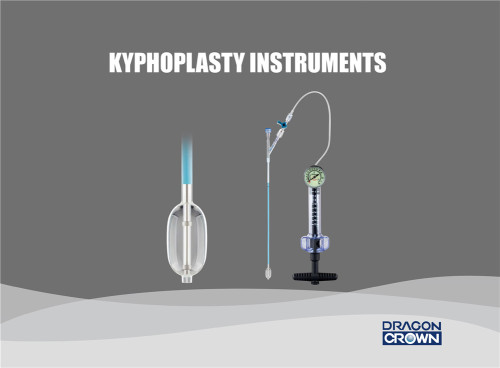 Balloon Catheter Of Vcf Instruments, High Quality Balloon Catheter Of ...