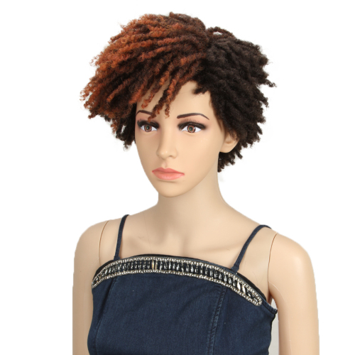 Magic Hair 10 Inches Afro Kinky Curly Wig Synthetic Short Wigs With ...