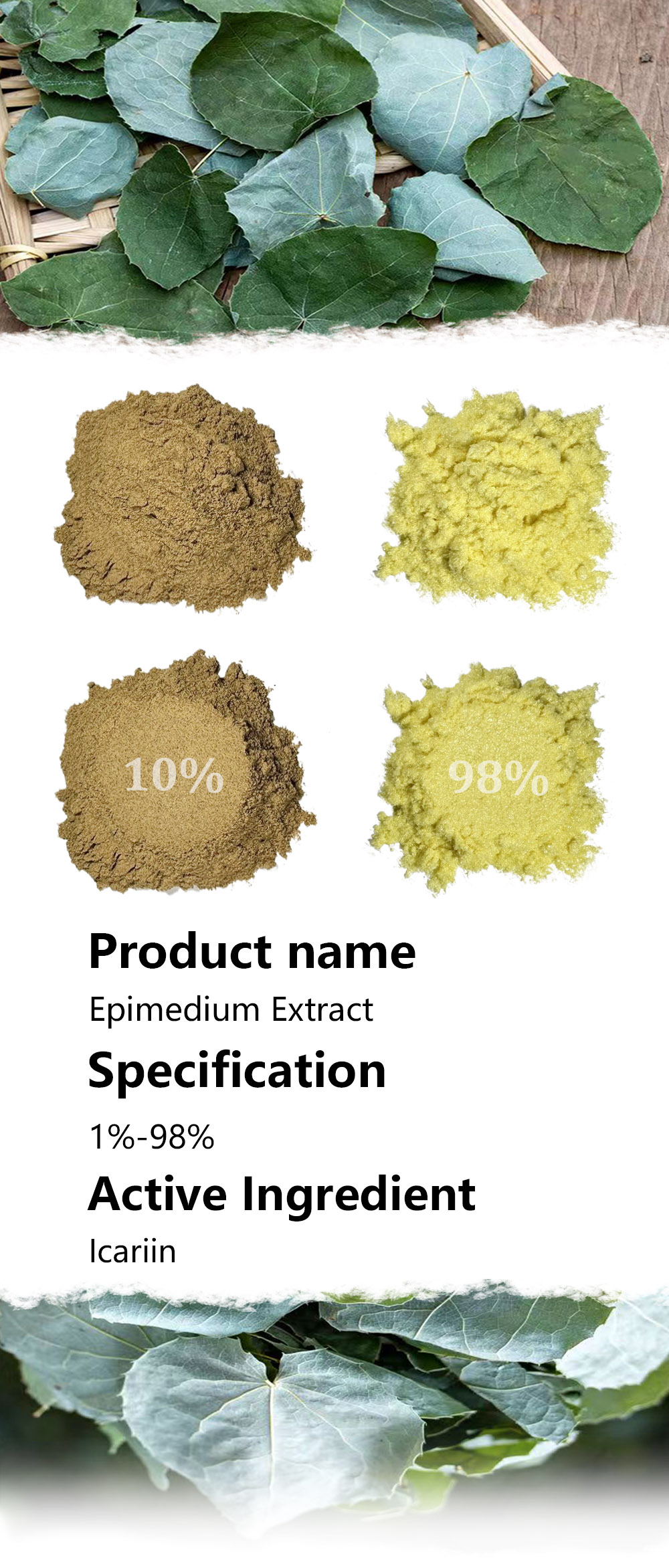 Epimedium Extract And Icariin: Properties, Benefits, And Uses Of Horny ...