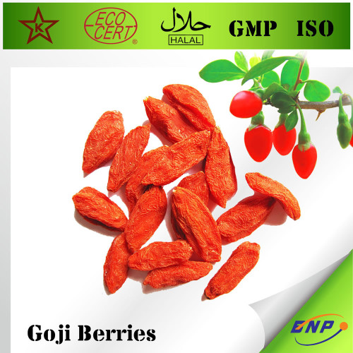 Haccp Iso Halal High Quality Sun Dried Goji Berry, High Quality Haccp ...