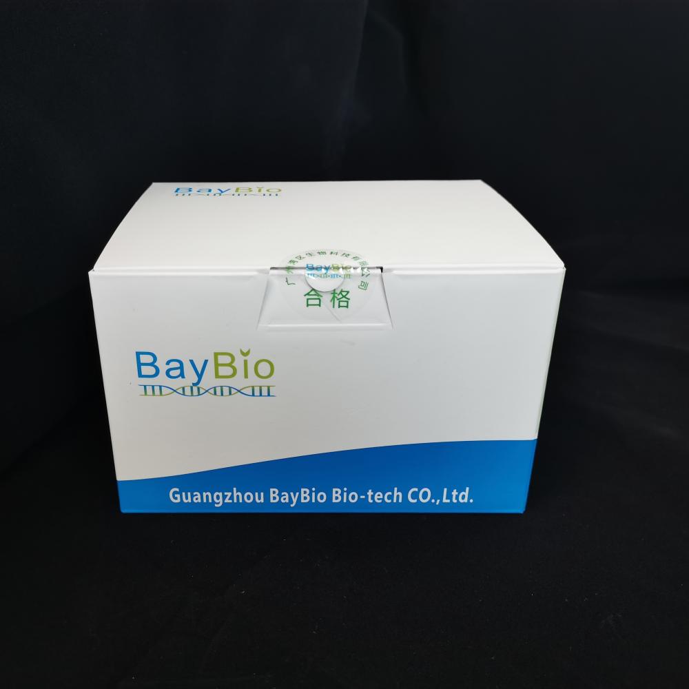 Baypure Endofree พลาสมิดพลาสมิดชุดแม่เหล็กแม่เหล็ก คุณภาพสูง Baypure ...
