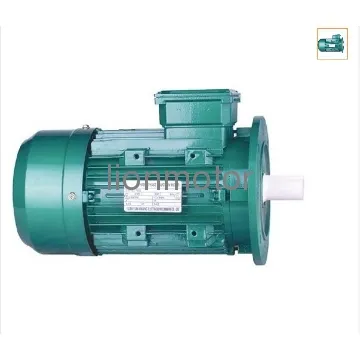 Ms Series Three-phase Induction Motors, High Quality Ms Series Three ...