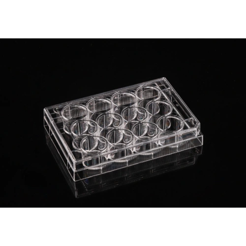 TC-Treated 12 well Cell Culture Plates China Manufacturers Suppliers ...