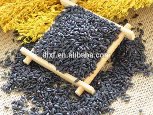 Long Grain Black Rice, High Quality Long Grain Black Rice on Bossgoo.com