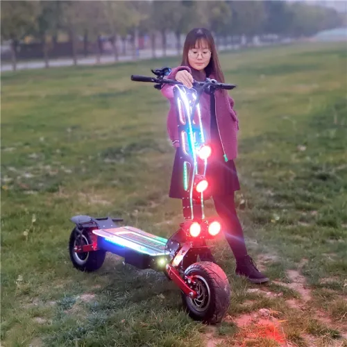 Realmax Customized Off Road Powerful E Scooters Electric Dual Motor ...
