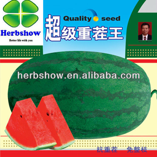 Newly F1 Hybrid Super Big Watermelon Seeds For Planting, High Quality ...