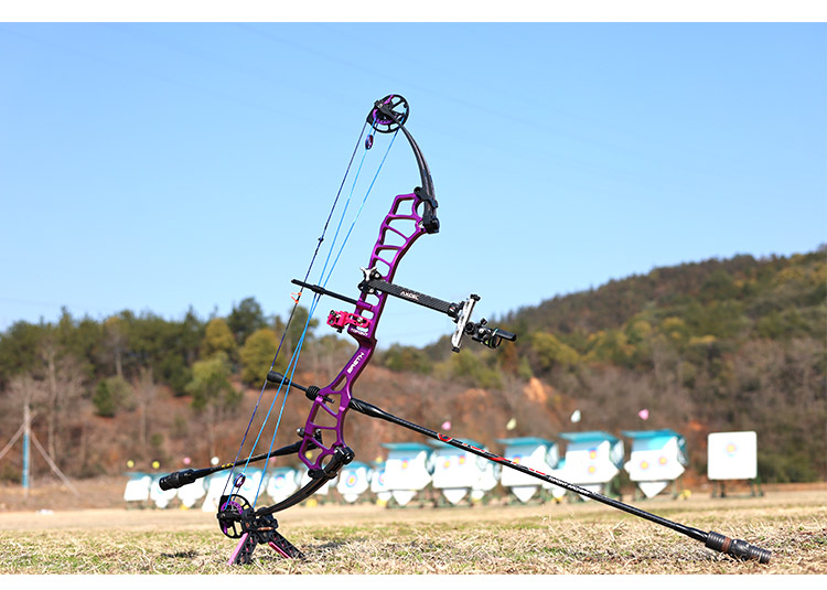 Topoint Archery 36 Inch Target Compound Bow: A Versatile Choice For ...