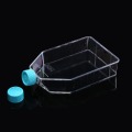 T75 cell culture flasks for adherent cells China Manufacturer