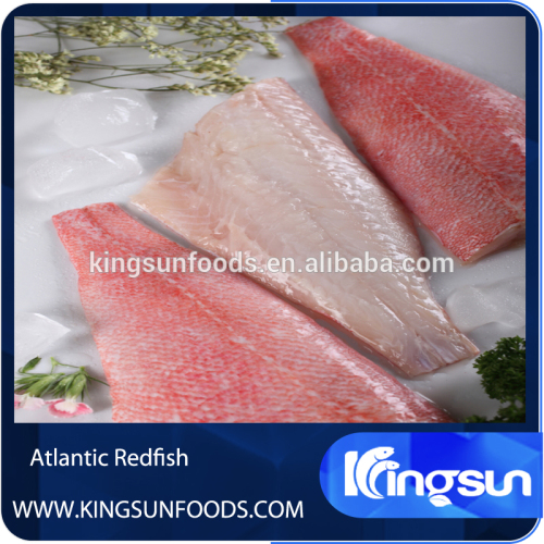 Fresh Ocean Perch Atlantic Redfish, High Quality Fresh Ocean Perch ...