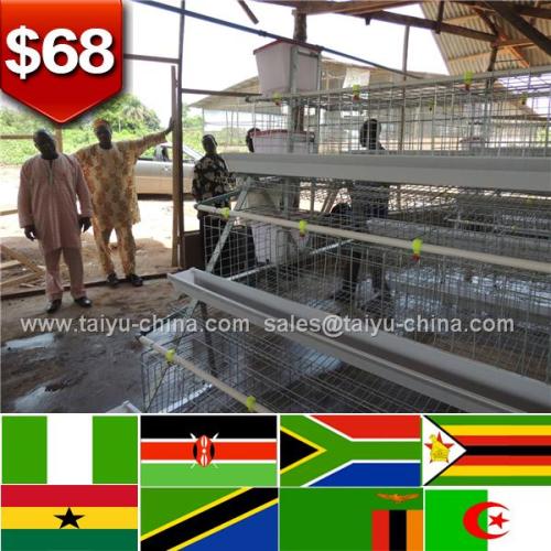 African Poultry House Design Broiler 120 Birds Capacity Battery Cages ...