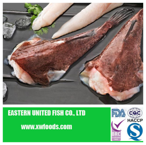 Frozen Monkfish, High Quality Frozen Monkfish on Bossgoo.com