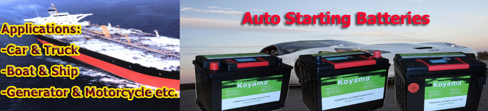 Double Terminal Heavy Duty Marine Battery 31m-1000 - Starting & Deep ...