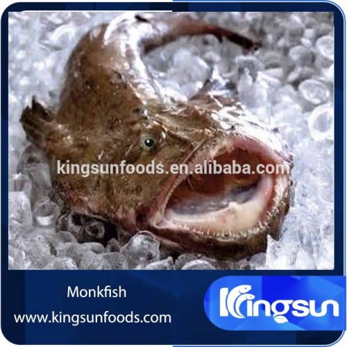 Frozen Monk Fish Fillet, High Quality Frozen Monk Fish Fillet on ...