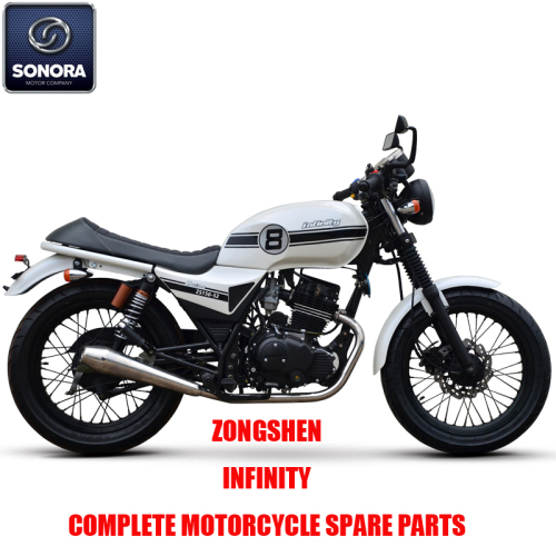 Zongshen Infinity Complete Engine Body Kit Spare Parts Original Spare ...