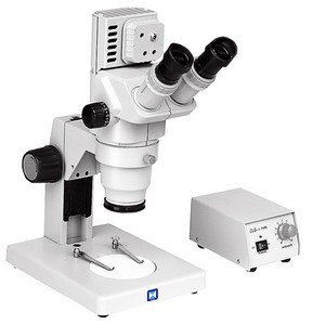 Binocular Stereo Inspection Microscope (xth-2026), High Quality Binocular Stereo Inspection ...