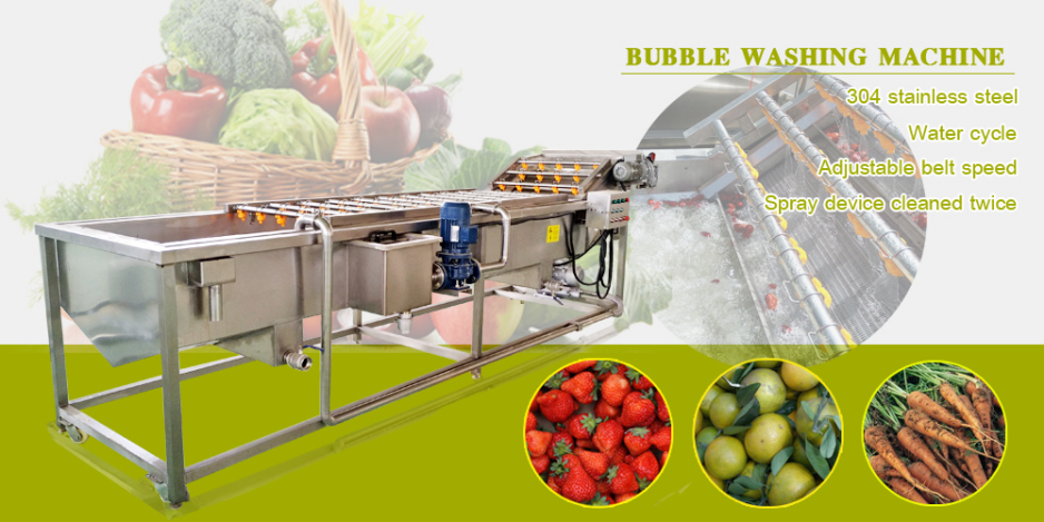 Industrial Citrus Cleaner Spring Onion Scallion Welsh Onion Washing ...