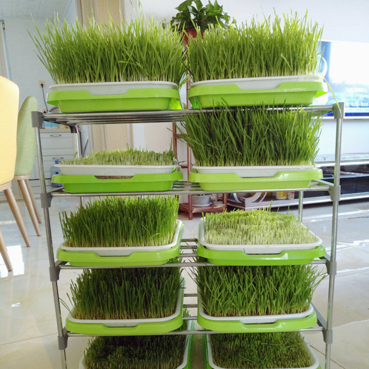 Indoor Seedling Frame With Seedling Trays, High Quality Indoor Seedling ...