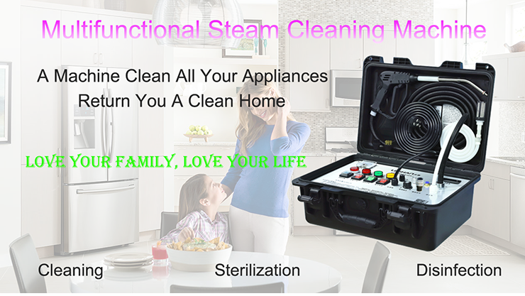 200-240v Sofa Carpet Steam Jet Cleaning Machine - Steam Cleaner, High ...