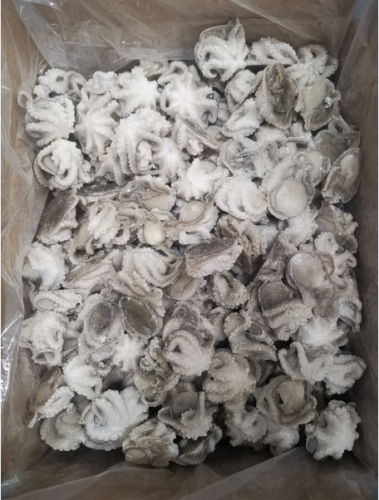 Frozen Octopus Short Leg 20-40g, High Quality Frozen Octopus Short Leg ...