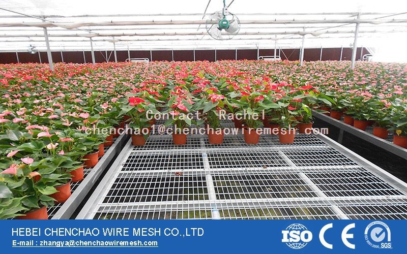 Seed Bed Bench For Greenhouse Seedling Trays, High Quality Seed Bed ...