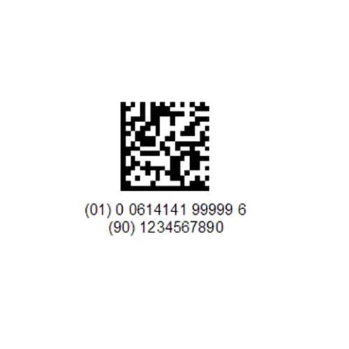 Gs1 Datamatrix Code Scanner Algorithm High Quality Gs1 Datamatrix Code Scanner Algorithm On