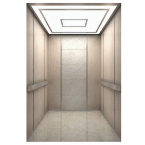 Commercial outdoor passenger elevator