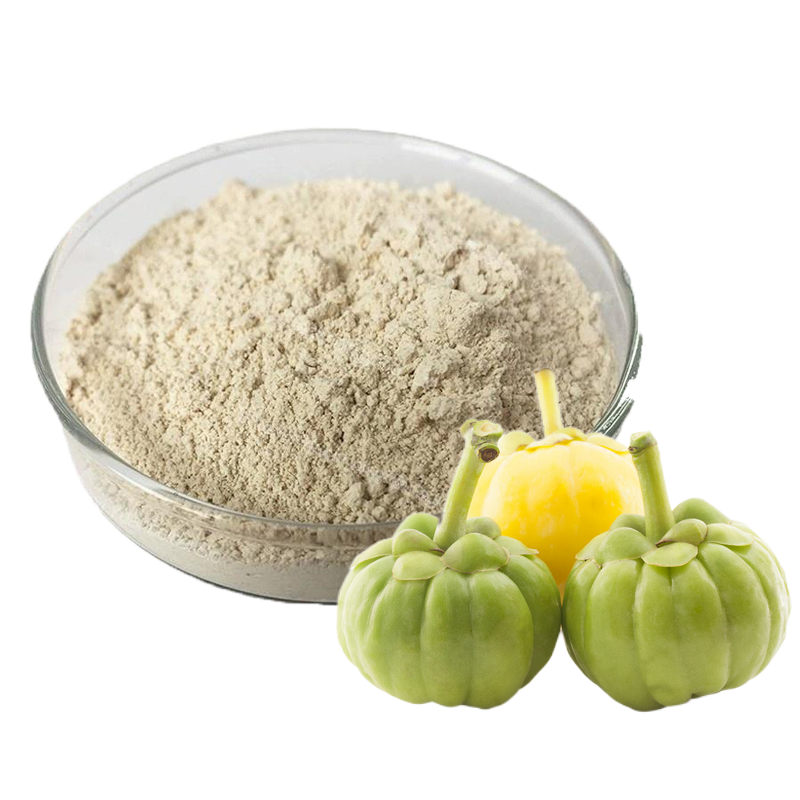 Level Garcinia Combogia Powder Extract Hydroxycitric Acid, High Quality ...