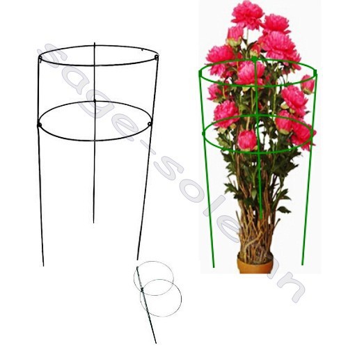 Double Collapsible Peony Ring Support, Double Peony Support Ring, High ...