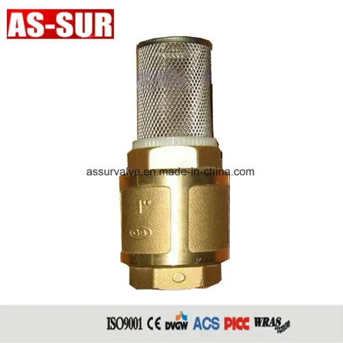 Brass Water Check Valves With Stainless Steel Net, High Quality Brass ...