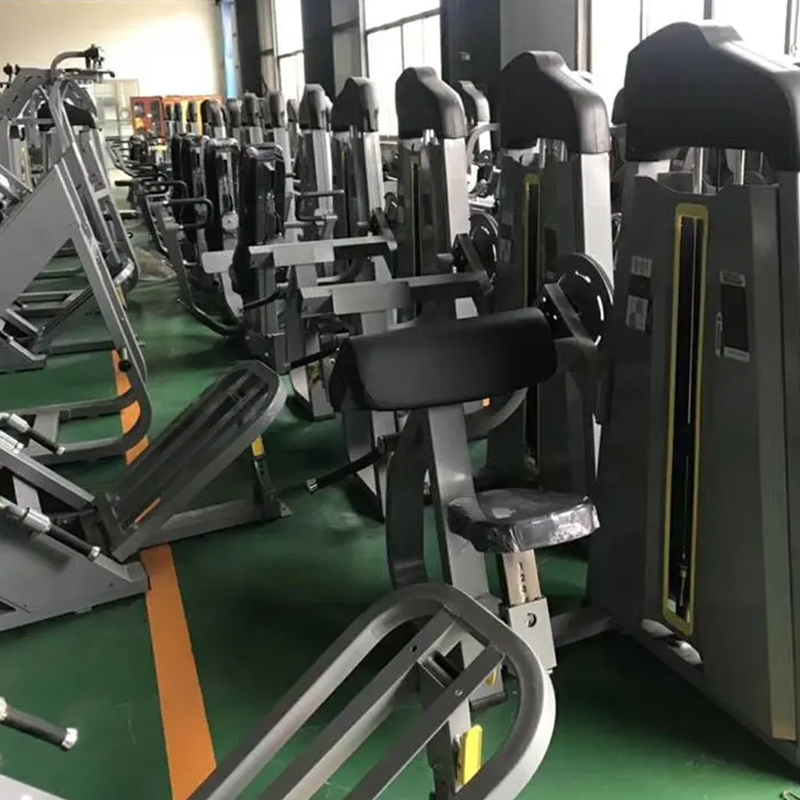 Biceps Curl And Triceps Extension Machine, High Quality Biceps Curl And ...