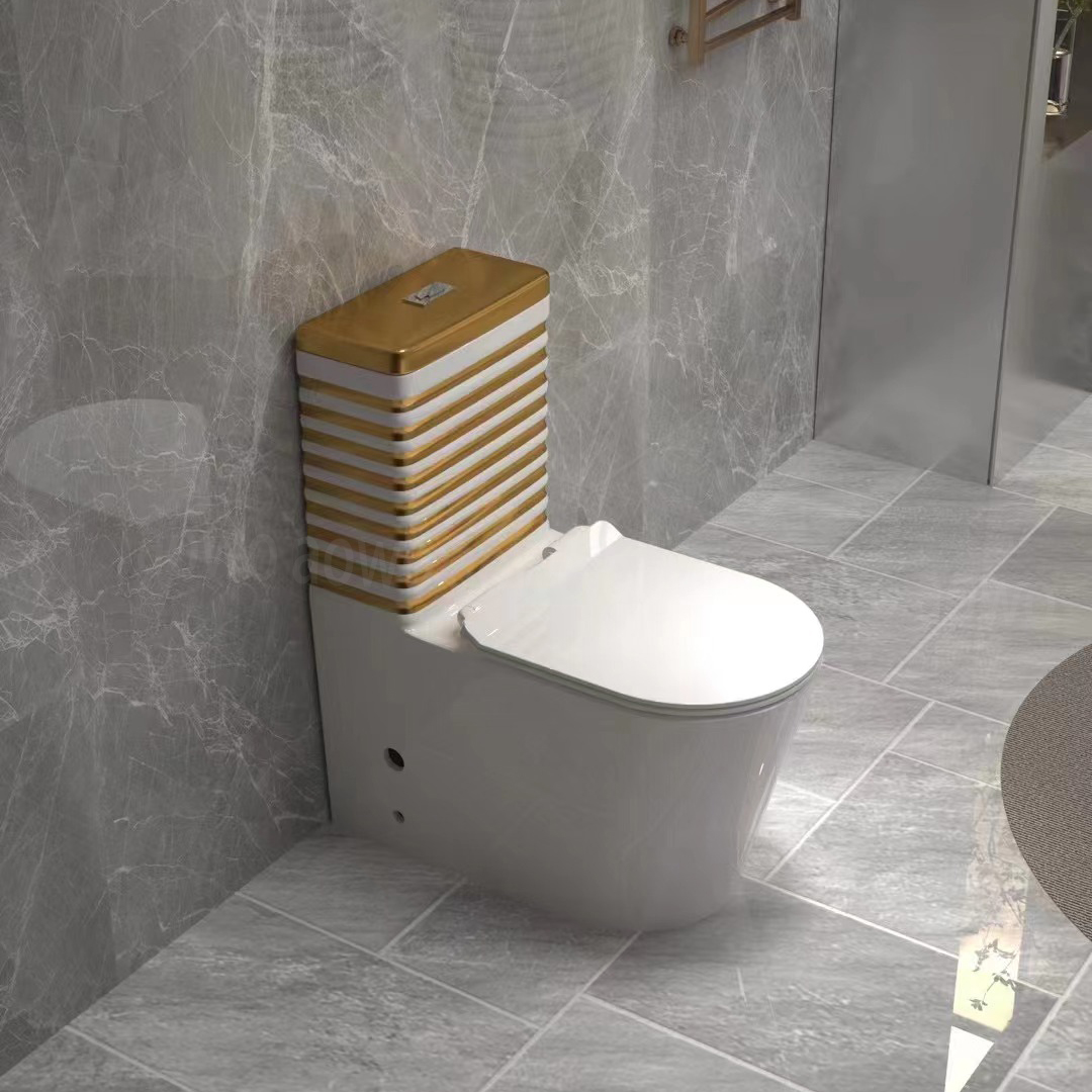 Chinese Hydro Spa Toilet Bowl - Dual Flush Floor-mounted Wc With Brush ...