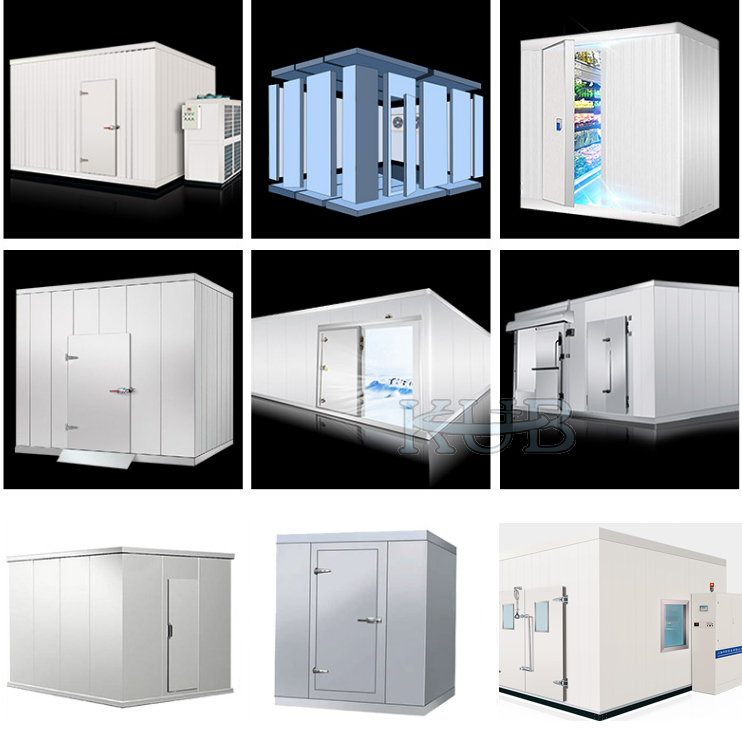 Minus 18 Degrees Cold Storage: 13 Cubic Meters For Meat And Fish, High ...