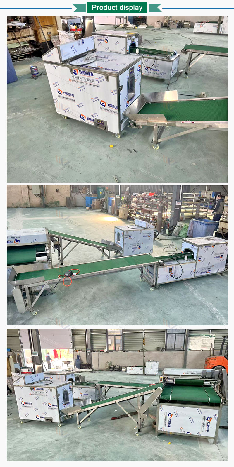 Wholesale Yellowtail And Whiting Fillets Processing Equipment In ...
