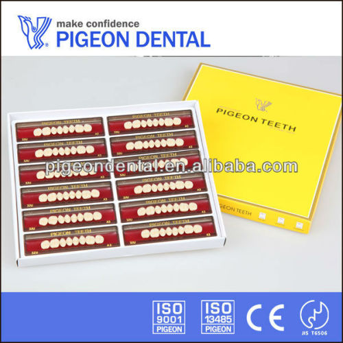 Pigeon Sp-2 False Teeth, Two Layers, Molar Teeth, Acrylic Teeth, Dental ...
