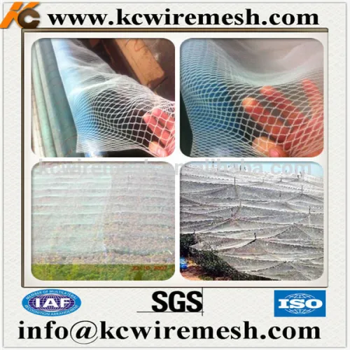 Polyethylene Knotless Farming Netting, High Quality Polyethylene ...